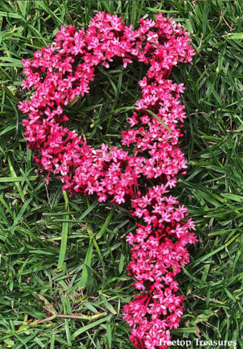 Natural Number 9 | Teaching Resources