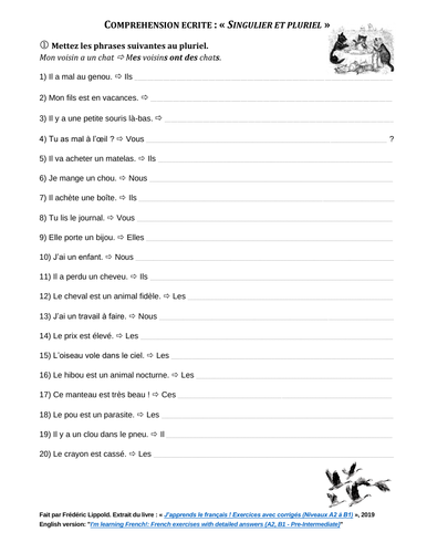 Singulier et pluriel - Transformer les phrases (French plural form ...
