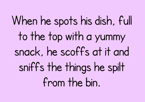 Final Consonant Blends & Double Consonant Endings: Dan’s Dog | Teaching ...