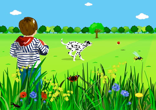 Final Consonant Blends & Double Consonant Endings: Dan’s Dog Runs ...