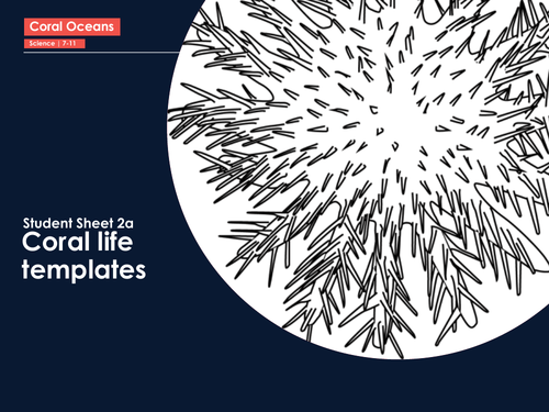 Coral Oceans KS2: Coral reef building | Teaching Resources