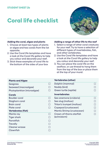 Coral Oceans KS2: Coral reef building | Teaching Resources