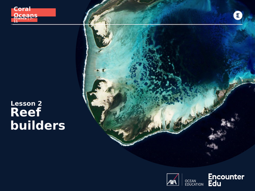 Coral Oceans KS2: Coral reef building | Teaching Resources