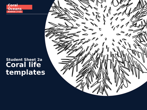 Coral Oceans KS2: Coral reef building | Teaching Resources