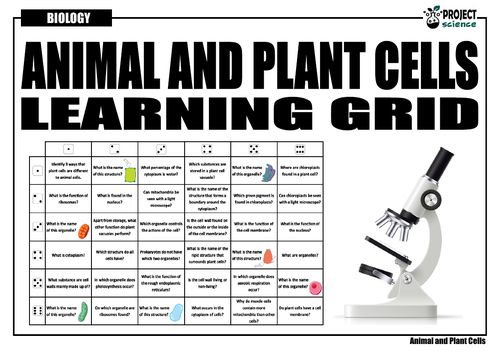 Animal and Plant Cells Learning Grid | Teaching Resources