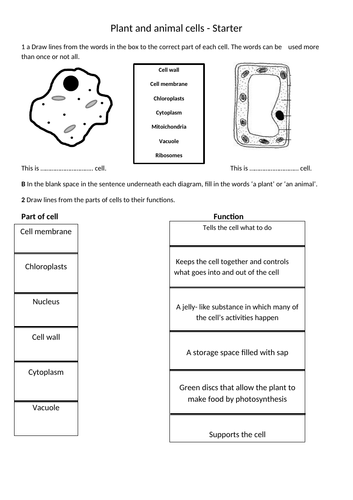 Plant and Animal Cells | Teaching Resources