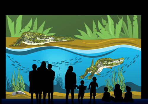 Long Vowel Sounds, Magic E & Vowel Digraphs : Zoggy At The Zoo ...