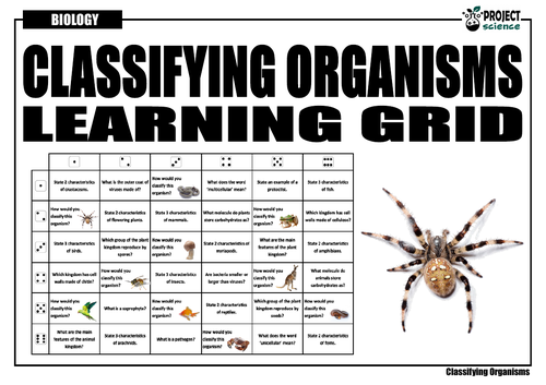 Classifying Organisms Learning Grid | Teaching Resources