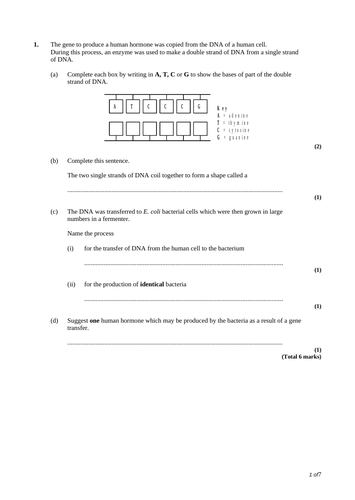 GCSE Biology DNA and protein synthesis worksheet | Teaching Resources