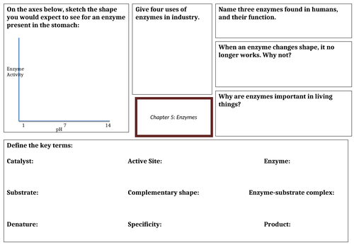 IGCSE Biology revision mats chapter 1-6 | Teaching Resources