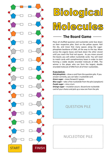 Biological Molecules - A complete set of resources for AQA AS/A-Level ...