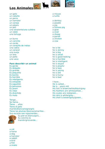 Year 7 - Los Animales -Las Mascotas - Spanish | Teaching Resources