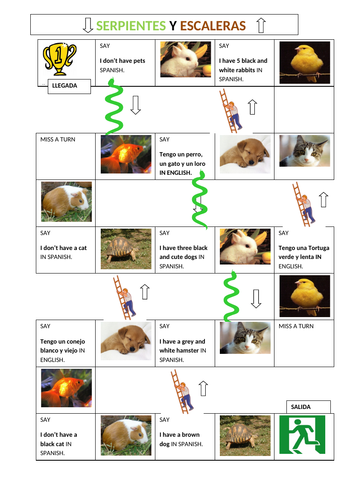 Year 7 - Los Animales -Las Mascotas - Spanish | Teaching Resources