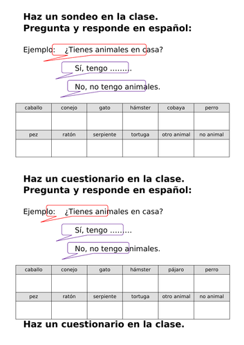Year 7 - Los Animales -Las Mascotas - Spanish | Teaching Resources