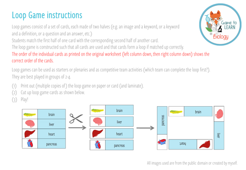 Biology lab equipment - Loop Game (KS3/4) | Teaching Resources