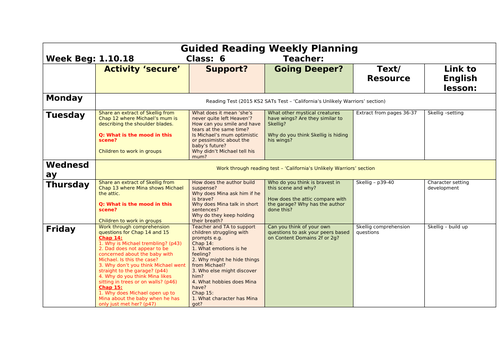 Guided Reading Planning and Resources based on Skellig by David Almond ...