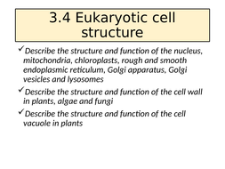 3.4 Eukaryotic Cell Structure AQA A Level | Teaching Resources