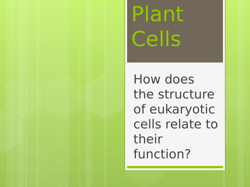 AS Biology- Cell Structure- Full set of lessons | Teaching Resources