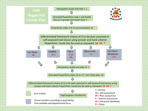 Plant and Animal Cells-Structure and Differences KS3 | Teaching Resources