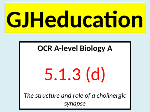SYNAPSES (OCR A-level Biology A) | Teaching Resources