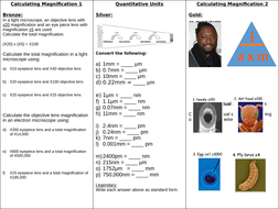 Calculating Magnification | Teaching Resources