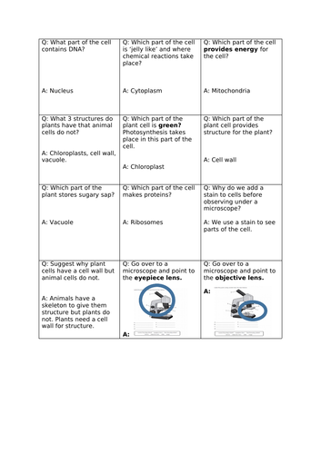 Animal Cells Under a Microscope | Teaching Resources