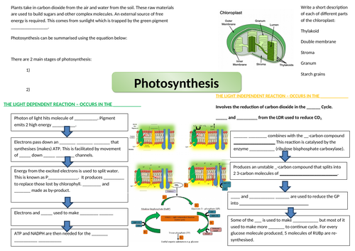 AQA A level Biology Photosynthesis | Teaching Resources