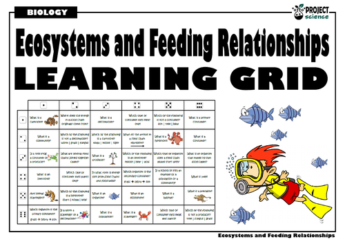 Ecosystems and Feeding Relationships Learning Grid | Teaching Resources