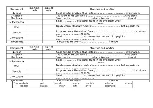 Cells, tissues and organs WHOLE UNIT - Exploring science (Year 7 ...