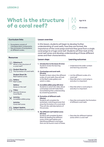 Coral Oceans Geo KS4: What is the structure of coral reefs? | Teaching ...