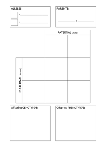 Monogenic Mendelian Inheritance - Punnett Squares | Teaching Resources