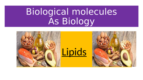 Biological Molecules: LIPIDS | Teaching Resources