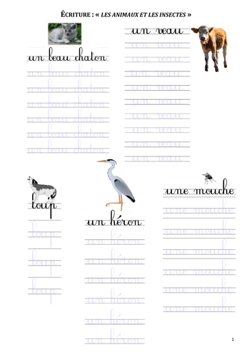 French Handwriting (kids & illiterate): "animaux et insectes" (animals ...