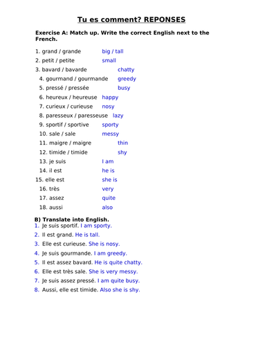 French adjectives worksheet and wordsearch KS3 | Teaching Resources