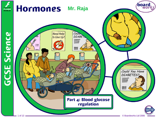 GCSE - Hormones Pt.4 - Blood Glucose Regulation | Teaching Resources