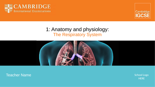 Respiratory System - IGCSE Physical Education Ppt & Workbook | Teaching ...