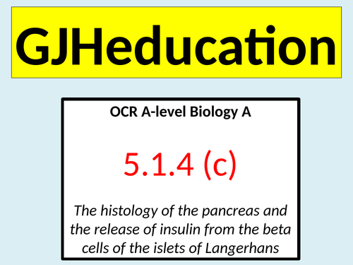 The pancreas and the release of insulin (OCR A-level Biology ...