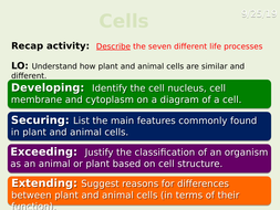 Exploring Science 7A- Cells, Tissues, Organs and Systems | Teaching ...