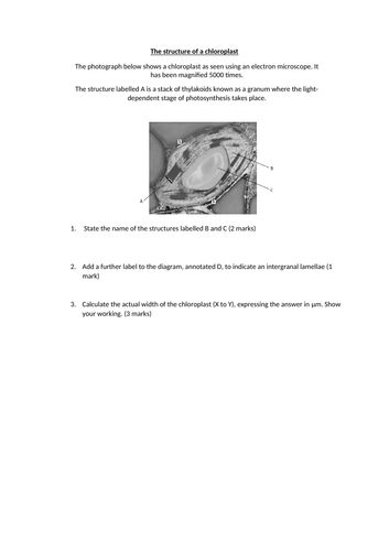 CIE International A-level Biology TOPIC 13 REVISION (Photosynthesis ...