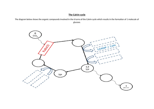 CIE International A-level Biology TOPIC 13 REVISION (Photosynthesis ...