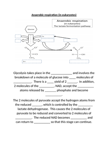 CIE International A-level Biology TOPIC 12 REVISION (Energy and ...