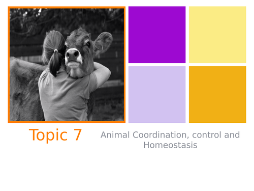 Edexcel Biology Topic 7 | Teaching Resources