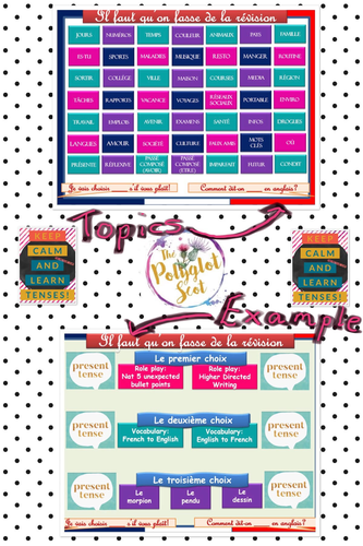 French grammar revision program - Present/Past/Imperfect/Future ...