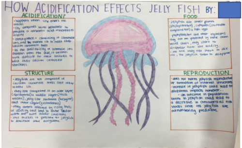 NGSS Chemistry - Ocean Acidification Poster Project | Teaching Resources