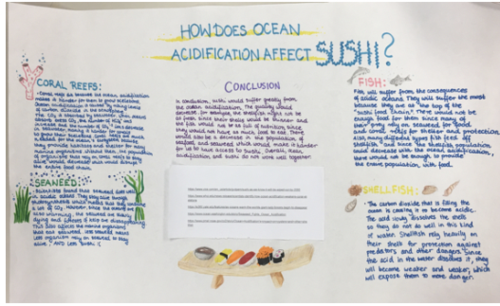 NGSS Chemistry - Ocean Acidification Poster Project | Teaching Resources