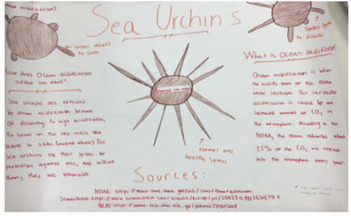 NGSS Chemistry - Ocean Acidification Poster Project | Teaching Resources