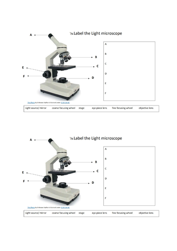 B1.1: The World of the Microscope (AQA) AND microscopy required ...