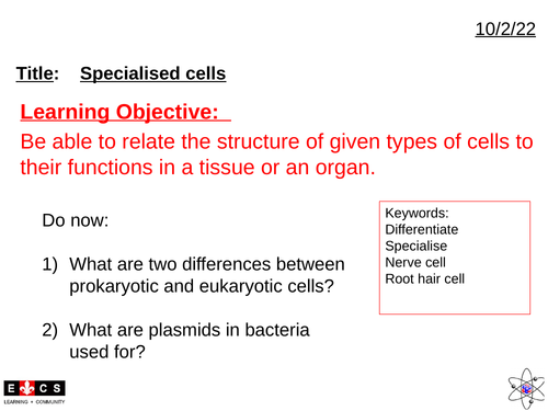 B1.4 Specialisation in Animal Cells and B1.5 Specialisation in Plant ...