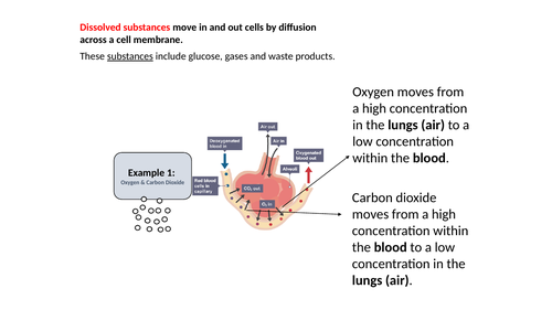 B1.6 Diffusion (AQA) | Teaching Resources