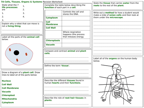 Exploring Science Year 7- Revision Worksheets | Teaching Resources
